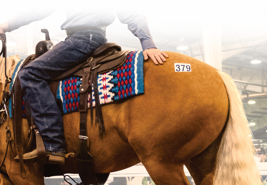 About - Triangle Horse Sales