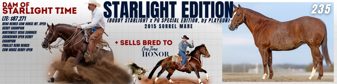 Flag Ranch Rope Horse Broodmare Dispersal at the Triangle Winter Sale ...