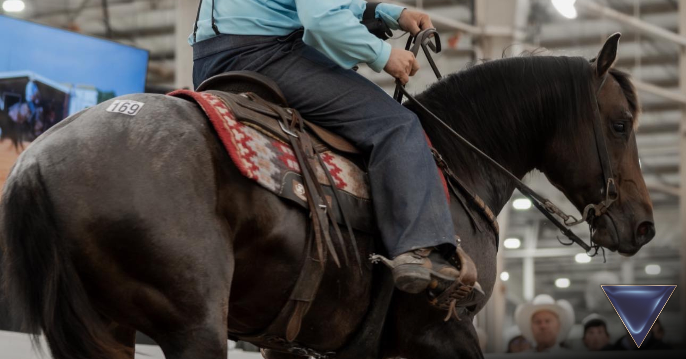 Triangle Horse Sales Records Solid Results at 46th Annual Spring Sale ...